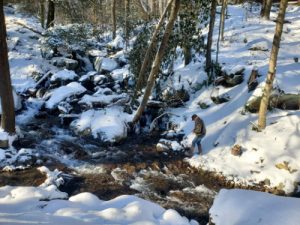 FORBES TRAIL CHAPTER TROUT UNLIMITED – Westmoreland County Pennsylvania