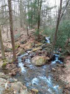 FORBES TRAIL CHAPTER TROUT UNLIMITED – Westmoreland County Pennsylvania
