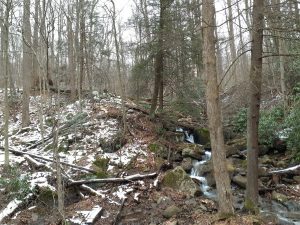 FORBES TRAIL CHAPTER TROUT UNLIMITED – Westmoreland County Pennsylvania