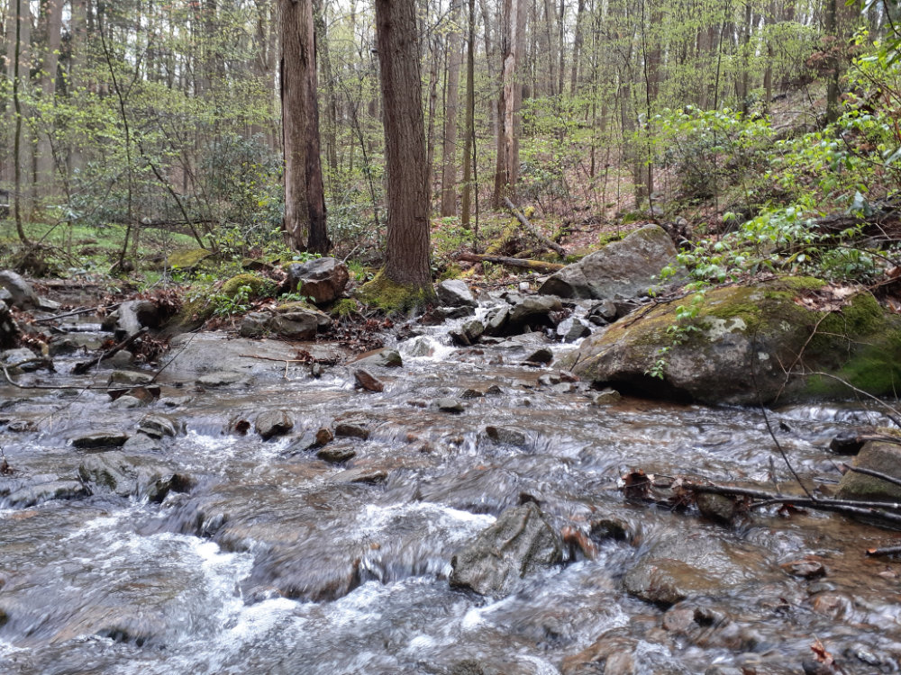 FORBES TRAIL CHAPTER TROUT UNLIMITED – Westmoreland County Pennsylvania