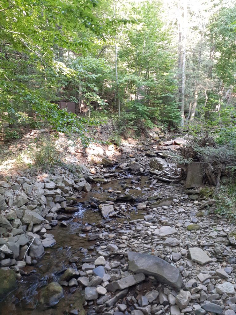 FORBES TRAIL CHAPTER TROUT UNLIMITED – Westmoreland County Pennsylvania
