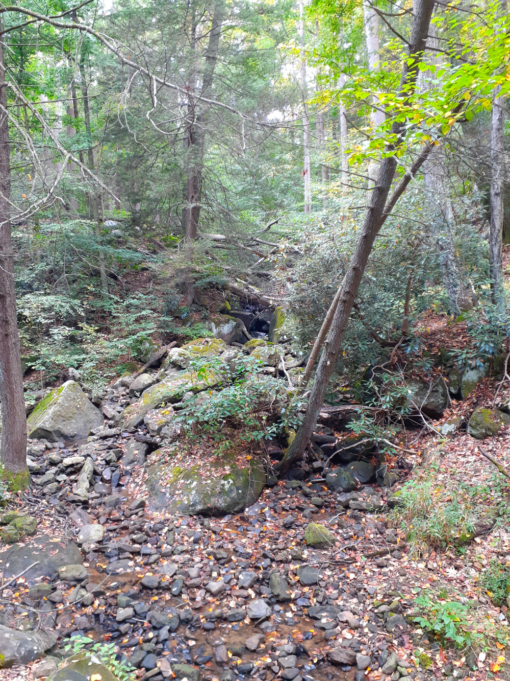 FORBES TRAIL CHAPTER TROUT UNLIMITED – Westmoreland County Pennsylvania