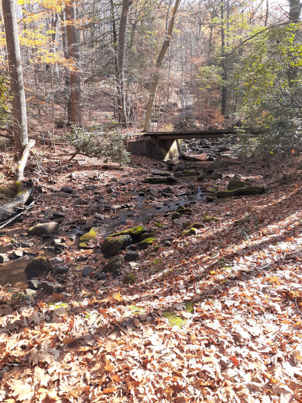 FORBES TRAIL CHAPTER TROUT UNLIMITED – Westmoreland County Pennsylvania
